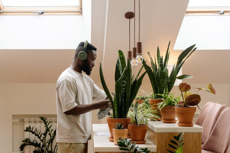 Discover 9 Indoor Hobbies That Will Instantly Make Staying Home More Fun