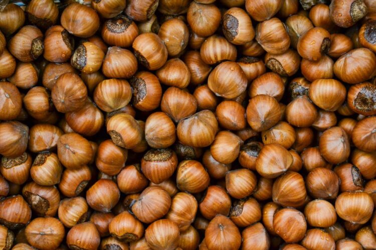 The 9 Healthiest Nuts Ranked from Least to Most Nutritious—Number One ...