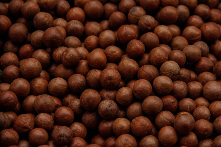 The 9 Healthiest Nuts Ranked from Least to Most Nutritious—Number One ...